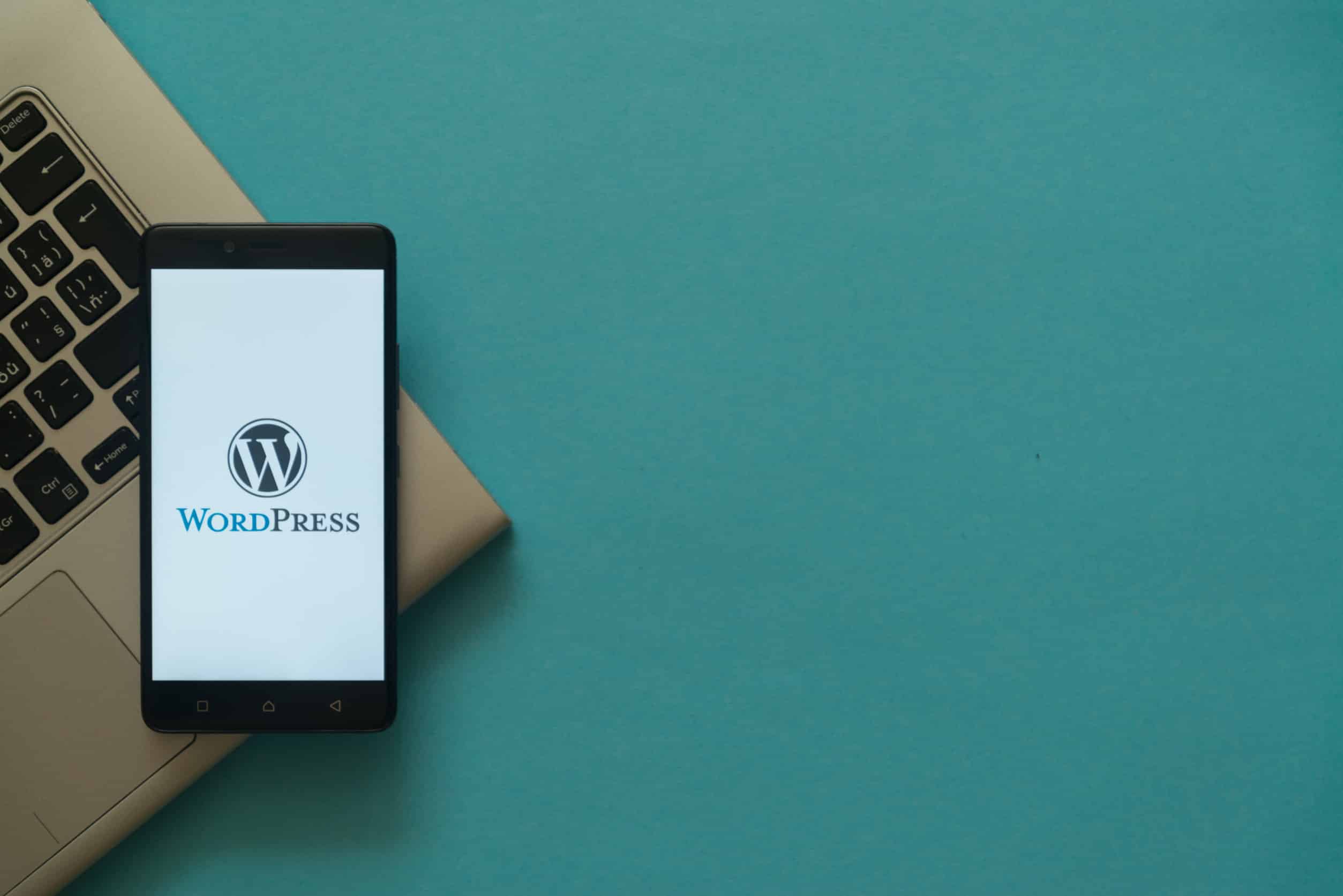 The Difference Between A Free And Self-Hosted WordPress Website